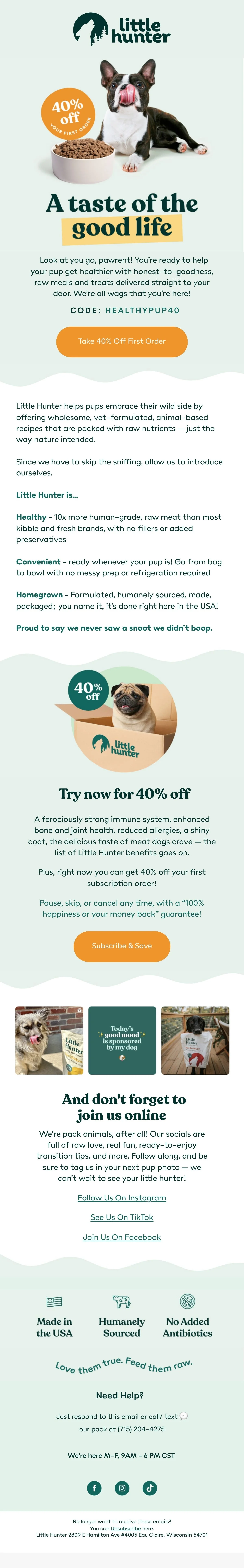 Little Hunter | Newsletter Example